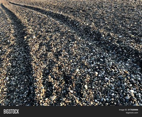 Traces Wheels On Small Image Photo Free Trial Bigstock