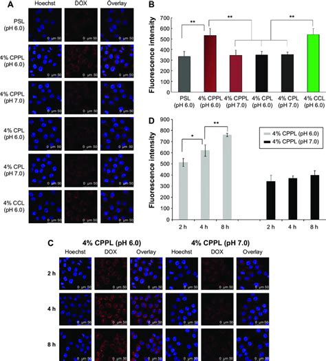 a clsm of dox loaded with 4 cpp modified cppl at different ph cpl