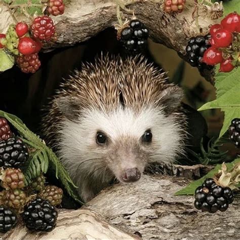 Yorkshire Lass With Class Youtube