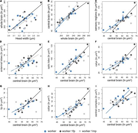 Frontiers Caste Sex And Parasitism Influence Brain Plasticity In A