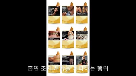 한국어 보건 복지부 금연 캠페인 담배를 피우기 YouTube