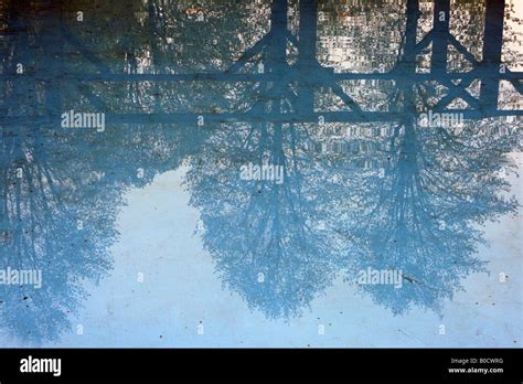 Reflection Of Trees In Water Stock Photo Alamy