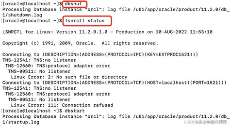 Linux 下静默安装无网络安装 Oracle 11g 1120 步骤centos 7centos7离线安装oracle数据库