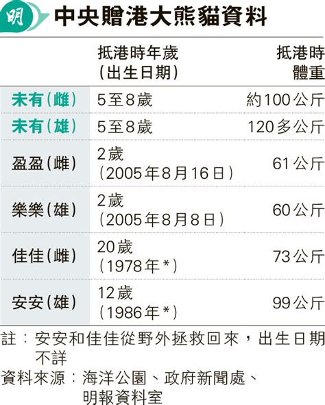 迎5至8歲大熊貓 李盼在港「開枝散葉」 20240710 要聞 每日明報 明報新聞網