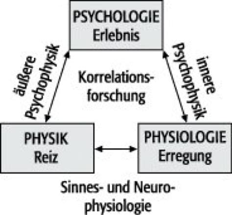 Psychophysik Lexikon Der Neurowissenschaft