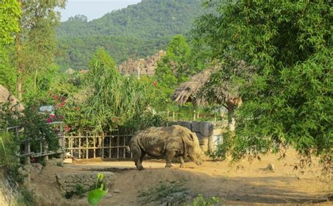 Khu Sinh Thái Không Phép Giữa Lòng Tp Lào Cai