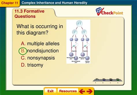 Ppt Section 1 Basic Patterns Of Human Inheritance Powerpoint