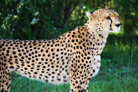 Photography Asia Chapman