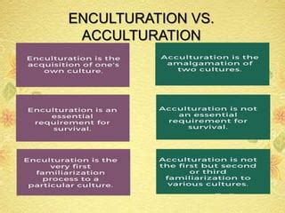 Enculturation And Acculturation PPT
