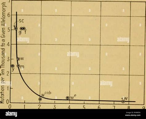 Biological Effects Of Radiation Mechanism And Measurement Of