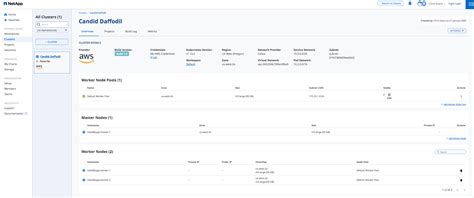 Netapp Nks And Hybrid Cloud Architecting It