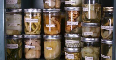 10 Halloween Food Ideas That Are Creepy Crawly And Downright