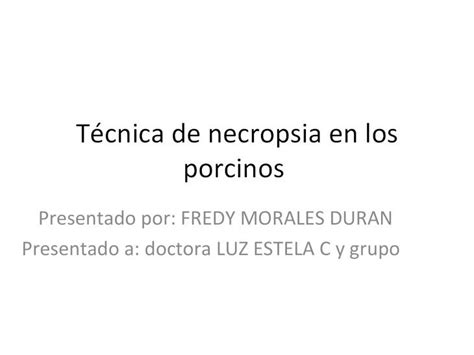 PDF Técnica de necropsia en los porcinos DOKUMEN TIPS