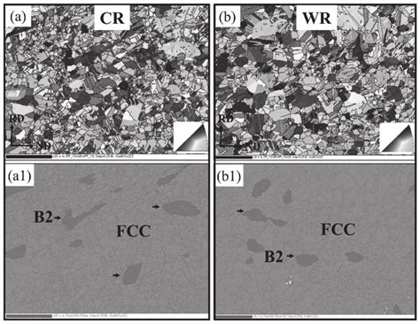 一种高强塑性协同多主元高熵合金及制备方法