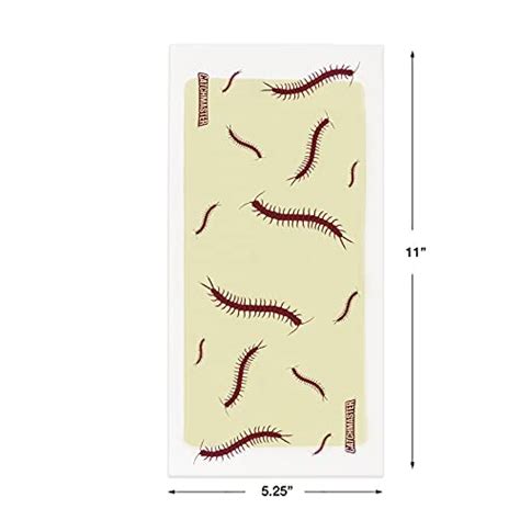 Centipede Xl By Catchmaster 6 Glue Traps Ready To Use Indoors