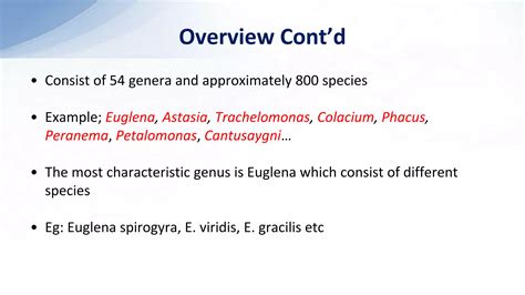 Phylum Euglenophyta Euglena Pptx
