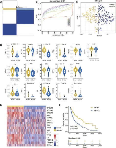 Immune Related Gene Signature Associates With Immune Landscape And Predicts Prognosis Accurately