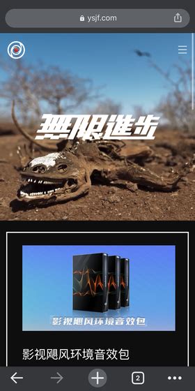影视飓风的动态 哔哩哔哩