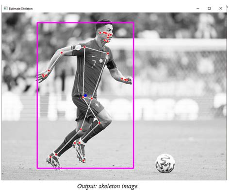 GitHub Nguyenquangtung DIP Human Skeleton Estimating