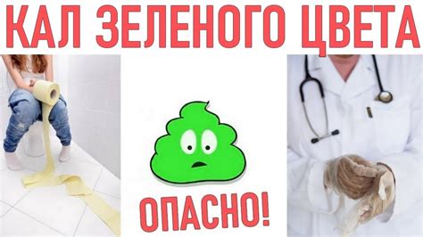 КАЛ ЗЕЛЕНОГО ЦВЕТА | Причины кала зеленого цвета - YouTube