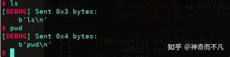 pwn 栈溢出 Ret2text 知乎