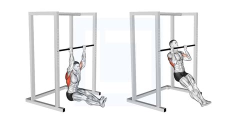 Inverted Row Guide Benefits And Form