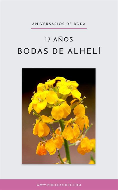 💍 Aniversario De Bodas🧖‍♀️🧖‍descubre El Significado De Cada Año