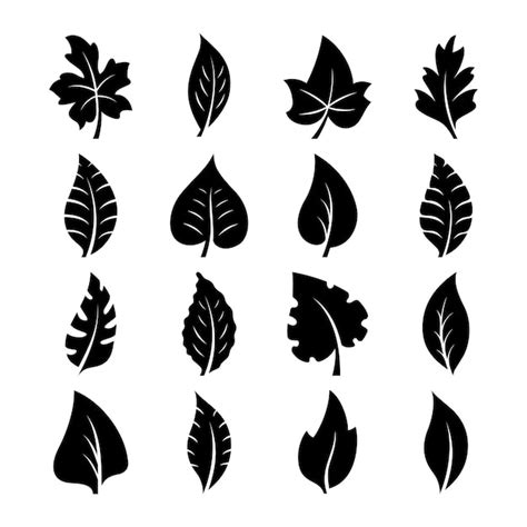 Conjunto De Vectores De Silueta De Hojas Vector Premium