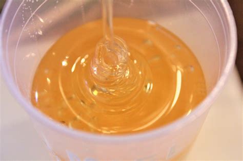 【ハチミツ】アカシアはちみつの蜜源はミモザ？ハチミツ商品コラムブログ｜les Abeilles Minamiaoyama（レザベイユ