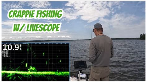 Crappie Fishing W Livescope Youtube