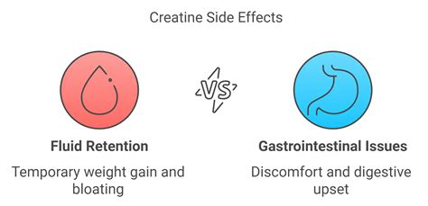 Creatine Side Effects Risks And Misconceptions Explained