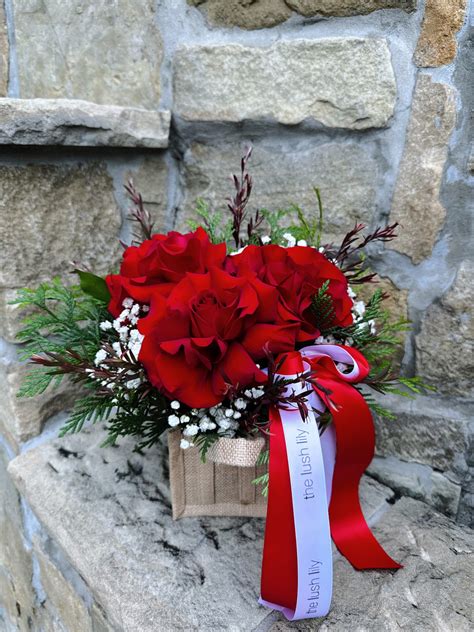 Draculas Kiss The Lush Lily Brisbane And Gold Coast Florist Flower