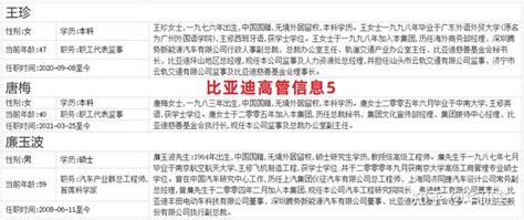 中国知名企业高管团队系列5比亚迪BYD 知乎