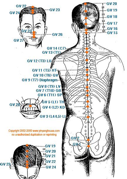 Chinese Acupressure Meridian Points Gv Governing Vessel Meridian
