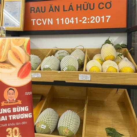 Vua Dưa Lưới Thương Hiệu Dưa Lưới Vì Sức Khỏe Báo Hà Giang điện Tử