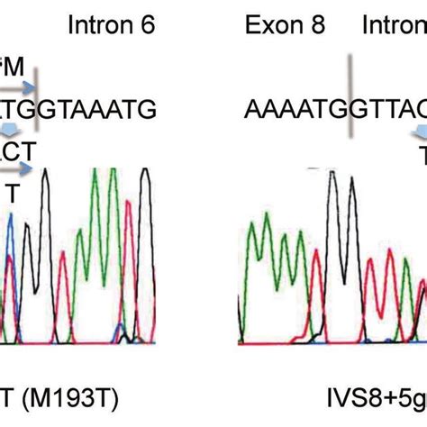 Mutations identified in GK65 at the genomic level. GK65 was a compound ...