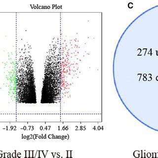 Screening Of Differential Expression Genes From The GEO Database A Download Scientific