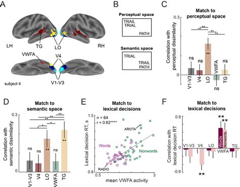lexical task fmri experiment 6 606 a rois for an example subject