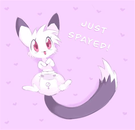 The Big Imageboard Tbib 2022 Ambiguous Species Chibifur Clothing