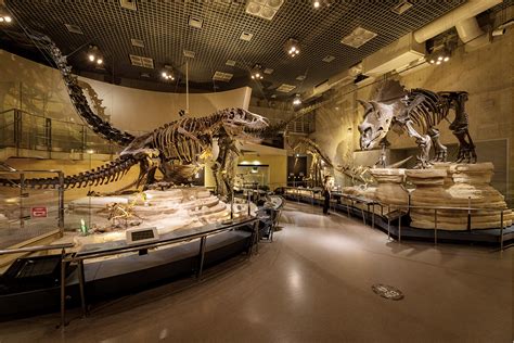 《国立科学博物館》国内唯一国立の総合科学博物館 【序章】 Discover Japan ディスカバー・ジャパン