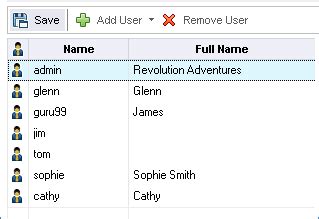 How To Customize Project In HP ALM Quality Center