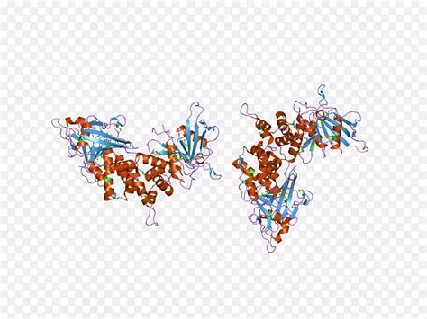 Ptprc晶体结构蛋白酪氨酸磷酸酶 人白细胞抗原png图片素材下载图片编号2957645 Png素材网