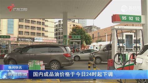 两会“云”客厅 全国政协委员苏权科：挖掘港珠澳大桥价值 发挥大湾区纽带作用 荔枝网