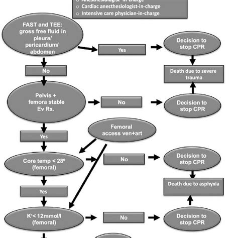 The Bernese Hypothermia Algorithm Page 2 Fast Focused Assessment With The Bernese Hypothermia Algorithm Page 2 Fast Focused Assessment With