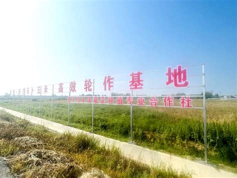 渔洋镇：“蔬”写乡村振兴新图景 潜江市人民政府