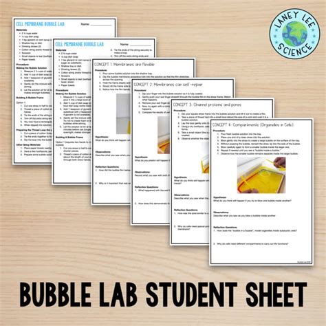 Cell Membrane Bubble Lab By Laney Lee Tpt