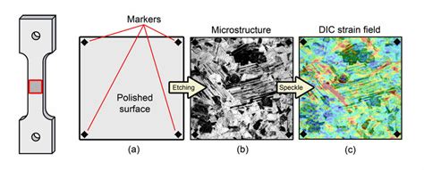 Specimen Preparation Positioning Of Fiducial Markers A