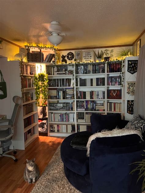 Cozy Book Room With Stylish Bookshelves