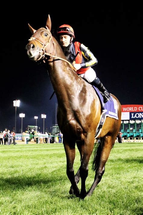 オークスで節目のg1・10勝目がかかる種牡馬ドゥラメンテの現役最強レースとは スポーツ報知