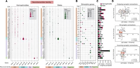 Decoding Sexual Dimorphism Of The Sex Shared Nervous System At Single Neuron Resolution